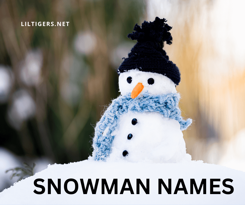 145 Best Snowman Names Lil Tigers 145 Best Snowman Names Lil Tigers