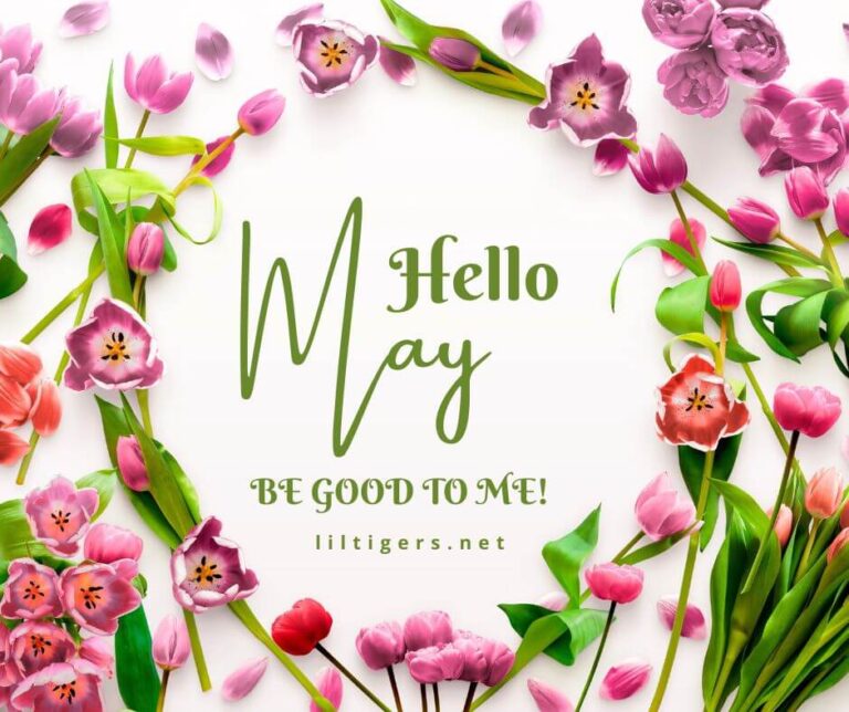 230 Hello May Quotes, Sayings, & Wishes for Kids 2025 - Lil Tigers