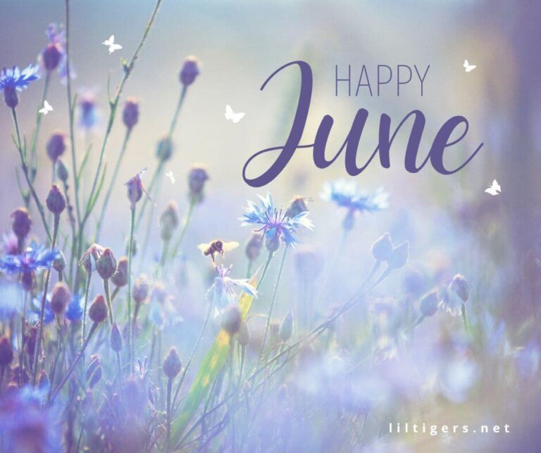 150 Hello June Quotes, Sayings & Wishes (2023) - Lil Tigers